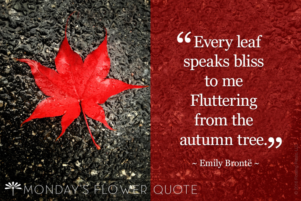 Flower Quote: Every Leaf Speaks - Floating Petals