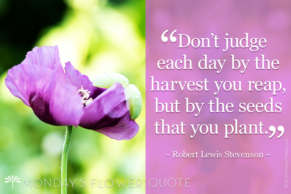 Don't Judge Each Day By the Harvest You Reap | Floating Petals