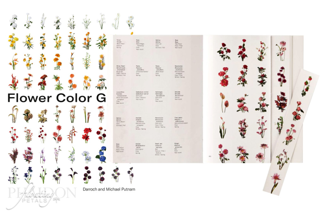 Flower Color Guide | Floating Petals Blooming Blog