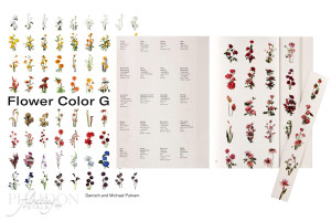 Flower Color Guide | Floating Petals Blooming Blog