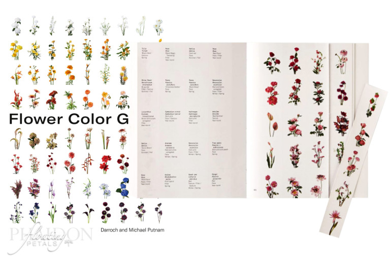 Flower Color Guide | Floating Petals Blooming Blog