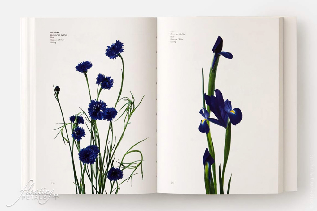 Flower Color Guide | Floating Petals Blooming Blog