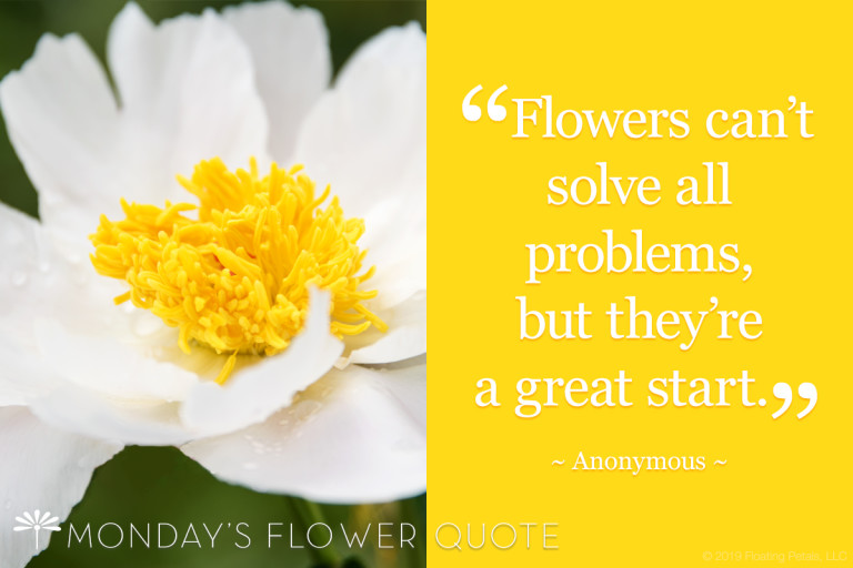 Flowers Can't Solve All Problems, But ... | Floating Petals