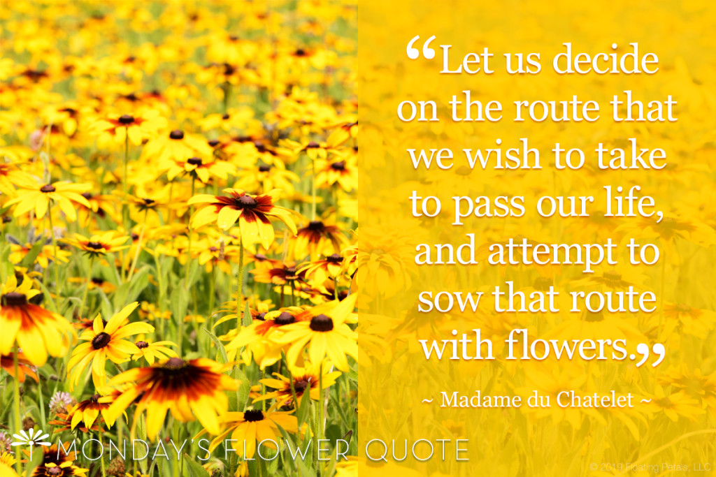 Let Us Decide | Monday's Flower Quote | Floating Petals